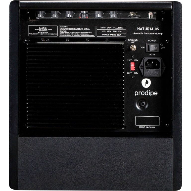 Prodipe Natural 5 Acoustic-Vocal Amplifier 90 Watts 3 Inputs w/ Effects ...
